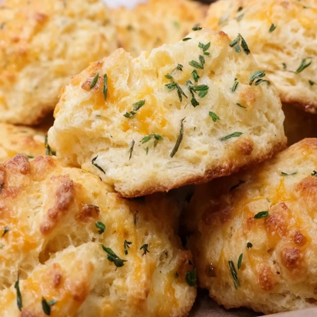 Sourdough Greek Yogurt Cheddar Biscuits - Quite Chefy